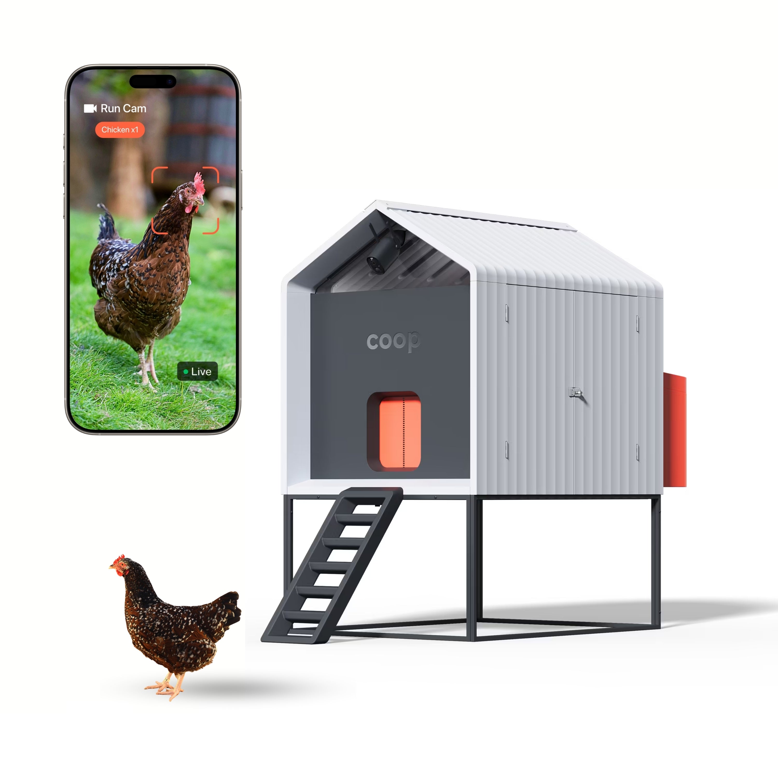 The Smart Coop + Base (+ Free Chicks! 🐣) – Wise County Chicken Farm